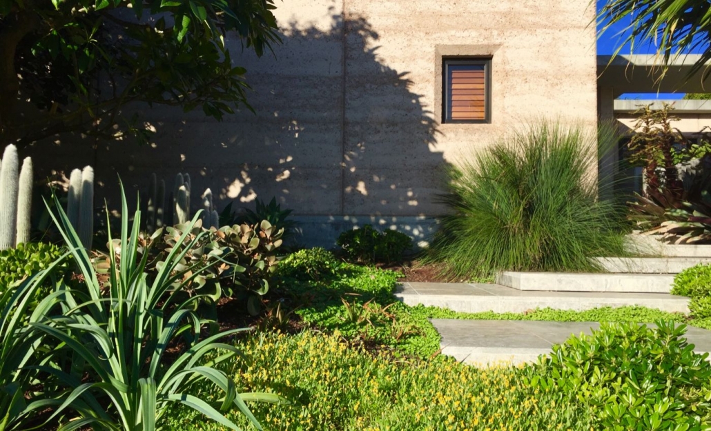 Our Garden Path | Northern Beaches Landscape Design